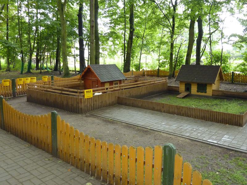 Mini ZOO – galeria zdjęć | ZOO Nowy Tomyśl